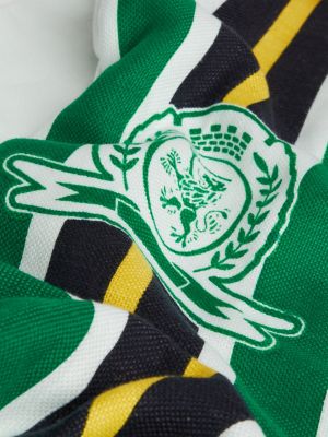 Gestreepte Linnen Sjaal Met Embleem Groen Tommy Hilfiger